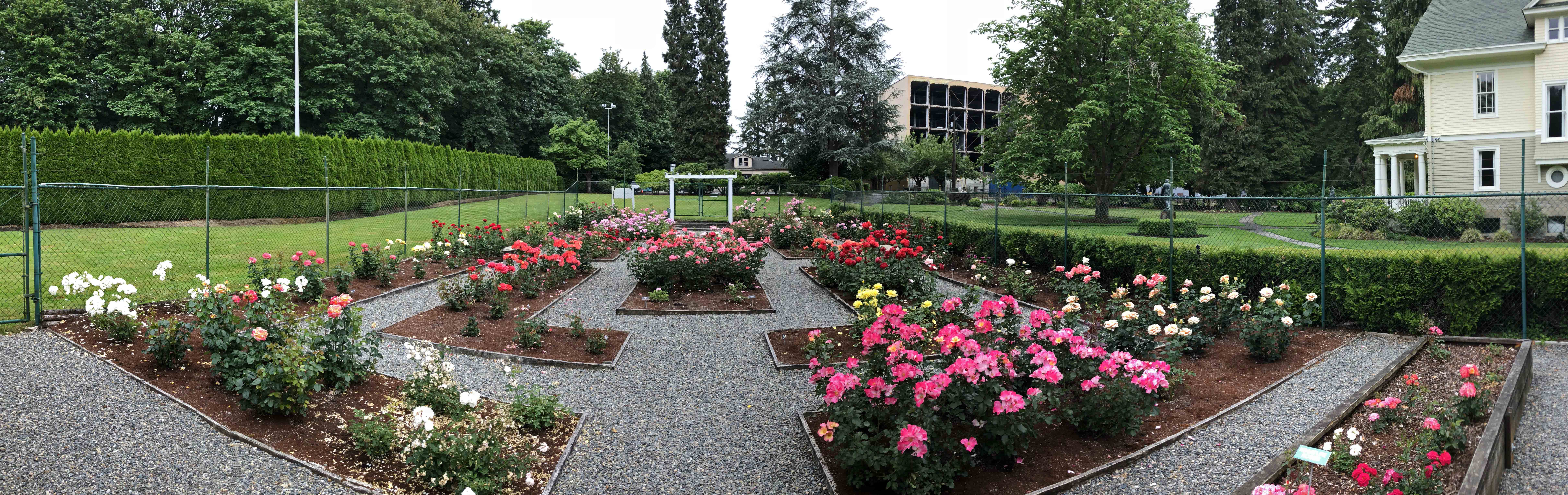 Centennial Rose Garden - Olympia Tumwater Foundation