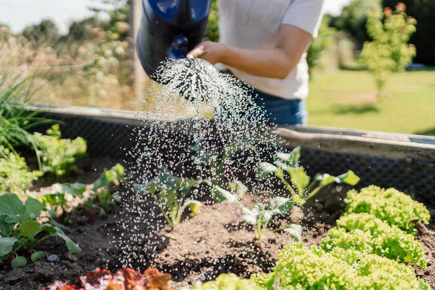 History Talk: Gardening's Past, Gardening's Future | The Olympia ...